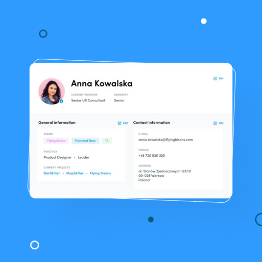 MapSkiller - elevating the user experience | Flying Bisons